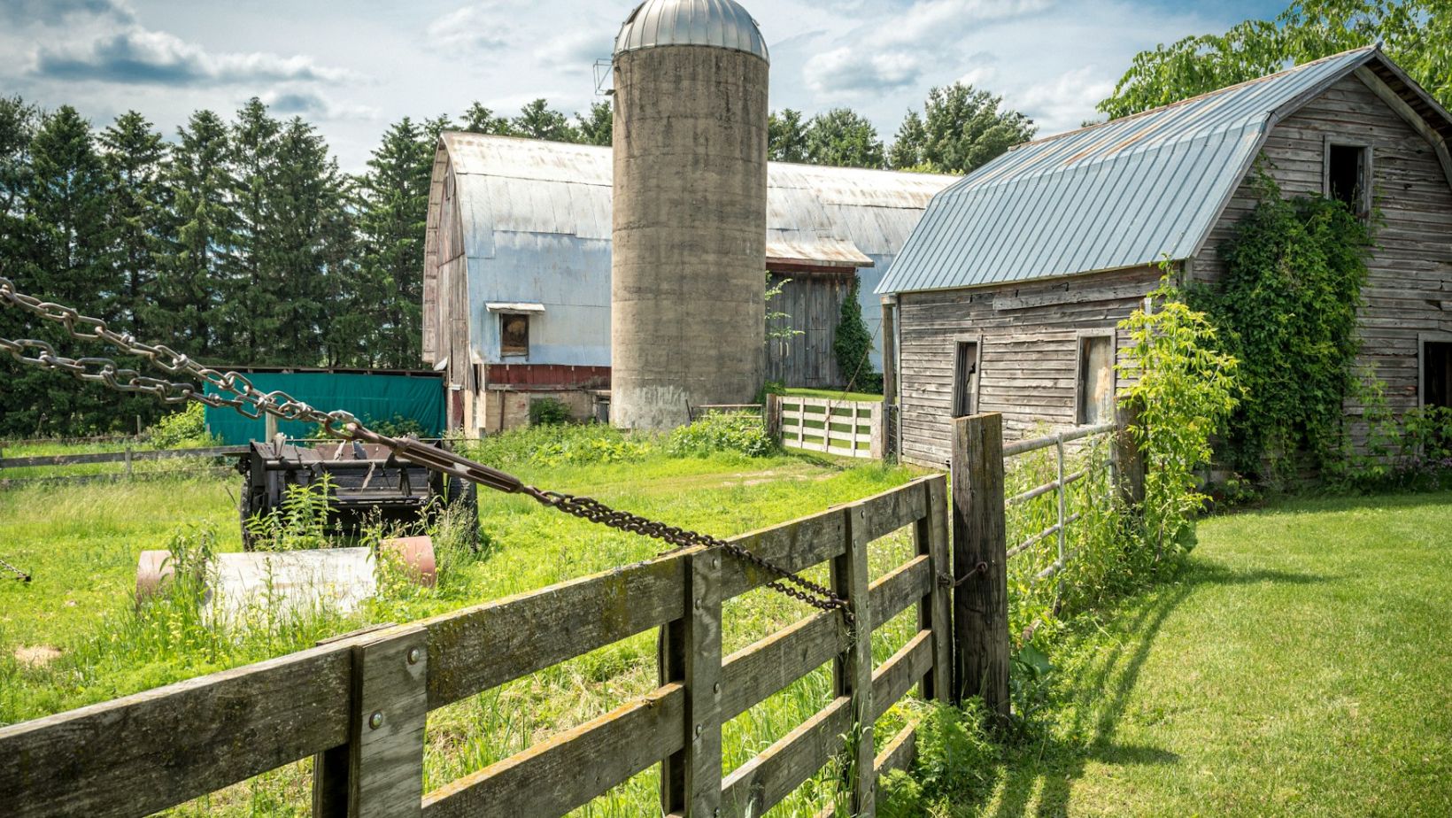 Small Bins, Big Dreams: How Grain Storage Grows with Your Farm